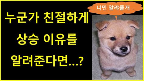 최근 비트코인 상승으로 인해 마음이 싱숭생숭하다면 주목~~ 리플 비트코인 이더리움 블랙록 바이낸스 중국 폴리곤 에이다 솔라나 트론 도지 Sec Etf 빗썸 웹3 Nft