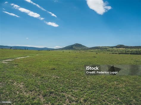 화창한 날에 이주 기간 동안 아프리카 사바나에 있는 목초지의 푸른 초원에 도착 하기 전에 0명에 대한 스톡 사진 및 기타 이미지 0명 4x4 자동차 공원 Istock