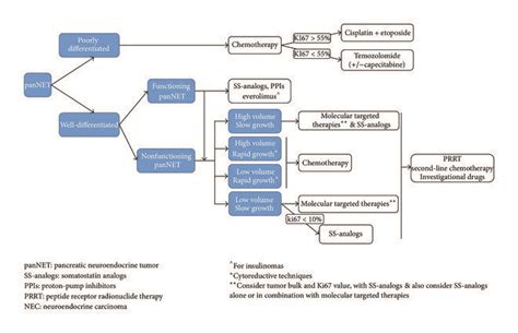 Suggested Algorithm For The Nonsurgical Management Of Pancreatic