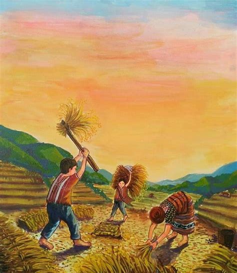 ลูกกะเหรี่ยง ชื่อภาพ ฤดูเกี่ยวข้าว 🌾🌾🌾🌾 Facebook