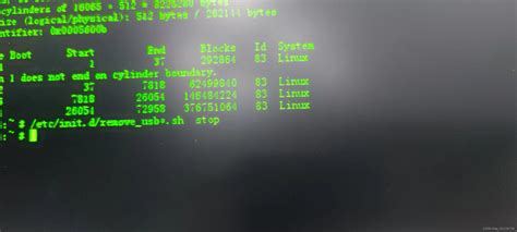 Linux服务器挂载u盘 Csdn博客