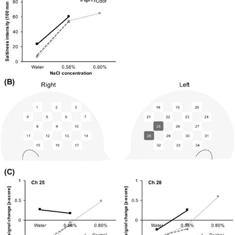 Schematic Diagram Of Rest Task Sequences In Experiments 1 And 2 The Download Scientific