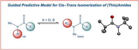 Predictive Model For Cis Trans Isomerization Of Amides And Thioamides Szostak Group