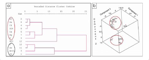 Statistical Multivariate Analysis A Cluster Diagram B Principal