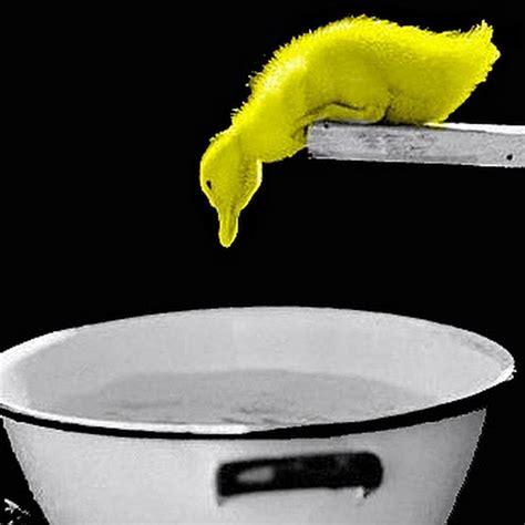 Michael Pacitti Youtube