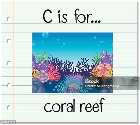 플래시 카드 문자 C 는 산호초 교육에 대한 스톡 벡터 아트 및 기타 이미지 교육 바다 바닷속 Istock