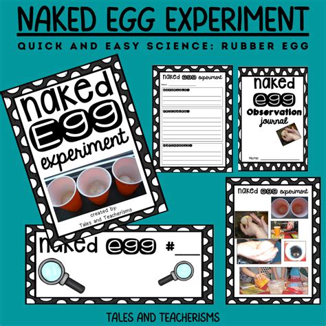 Quick And Easy Science Experiment Create A Rubber NAKED Egg In Your Classroom Classful