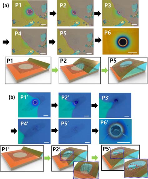 Images And Illustrations Of The Separation Of Graphene PT From SiO2 Si Download Scientific