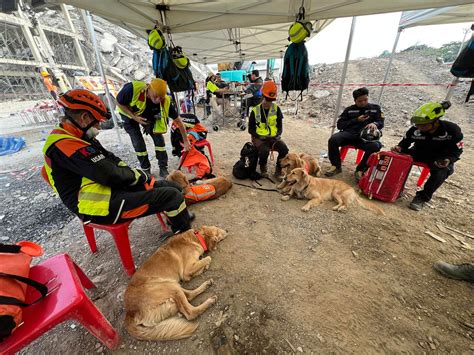 การ์ ตูน