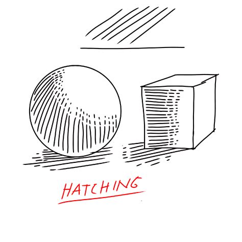 Mengenal Teknik Hatching Dan Cross Hatching Dalam Menggambar