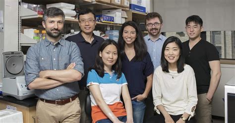 Lab Spotlight Ding Lab