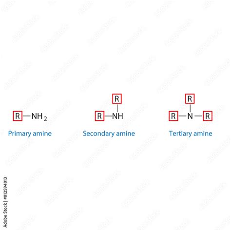 Primary Secondary And Tertiary Amine Molecule Skeletal Structure Anic Compound