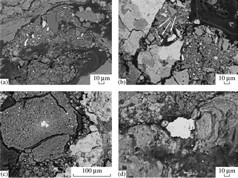 Intermetallic Compounds And Rare Earth Elements In The Central Sea Of