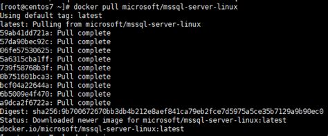 Docker学习笔记之 安装mssql Sql Server 并使用Navicat连接测试 环境centos7 找 net工作 北京 博客园