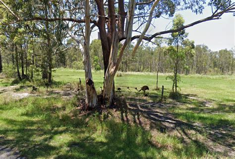 DownUnderCTF 2024 Writeups Feat OSINT Jihun Hwang Jimmy