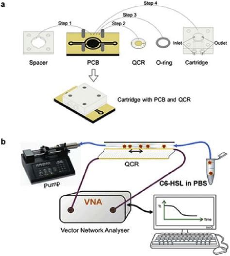A The Sensor Assembly B Schematic Of The Experimental Set Up Download Scientific Diagram