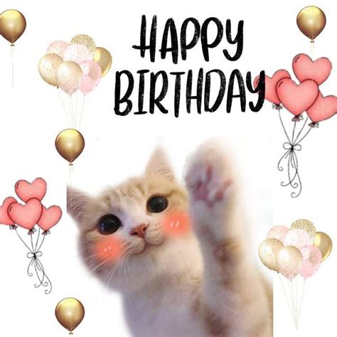 100 Best Happy Birthday Cat Memes Images Artofit
