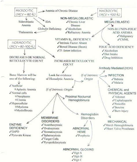 Pin On Medical Lab Tech