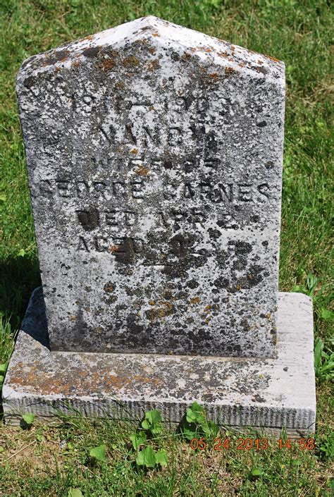 Nancy Simpson Carnes 1811 1903 Mémorial Find A Grave