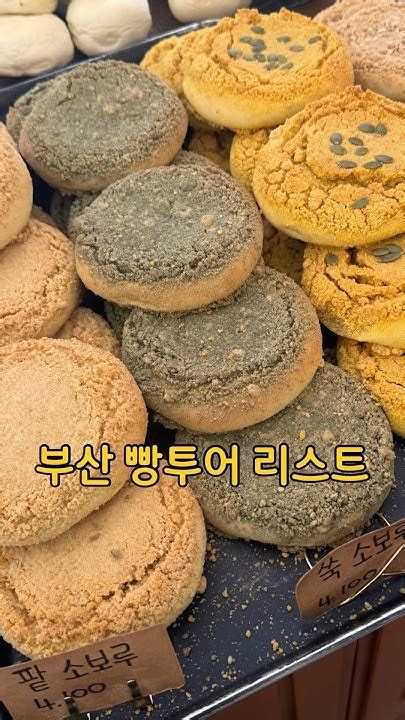 부산 빵투어 리스트📝 Youtube