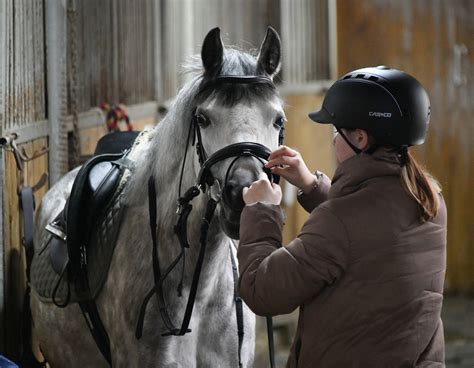 Всероссийские соревнования по конному спорту