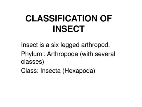 Ppt Classification Of Insect Powerpoint Presentation Free Download