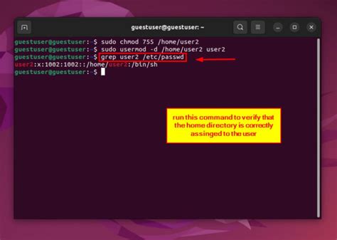 How To Create Home Directory For User Linux 10 Easy Steps