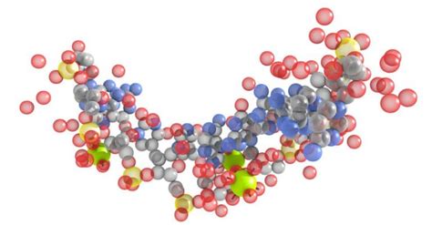 Predicting Protein Function And Annotating Complex Pathways With