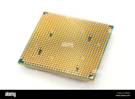 Closeup Of A Computer Processor With Golden Pins Over A White Background Stock Photo Alamy