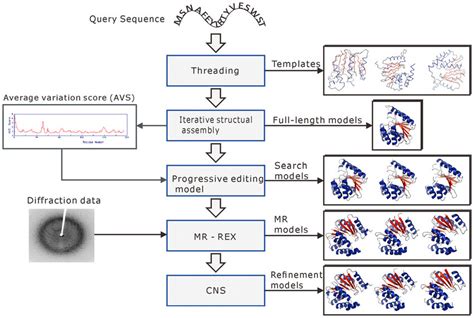 Flowchart Of I Tasser Mr The Target Sequence Is First Threaded Through