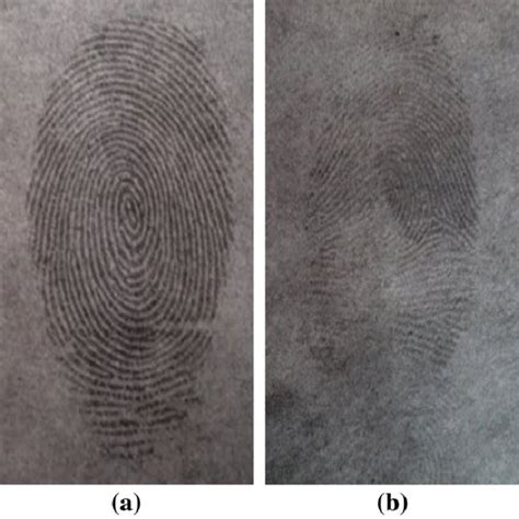 Optical Fingerprint Sensor Download Scientific Diagram