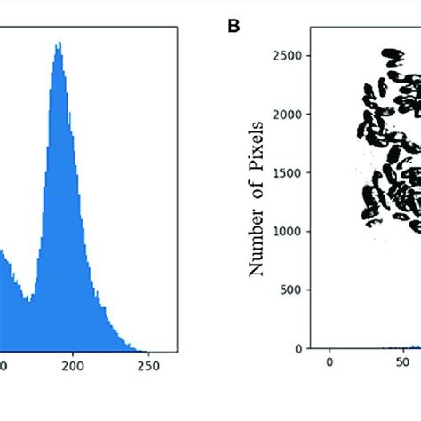 Grayscale Histogram And Binarized Images A Sample 1 1 B Sample 1 2 Download