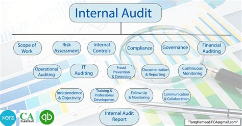 Audit Internalaudit Ca Ifrs Ias Fca Aca Acccounting