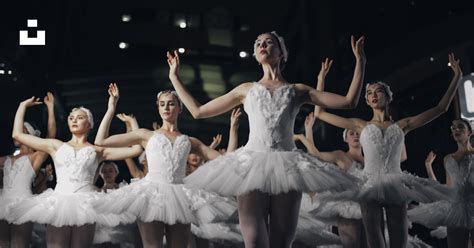 두 손을 들고 춤을 추는 발레리나 그룹 사진 Unsplash의 무료 여자 이미지