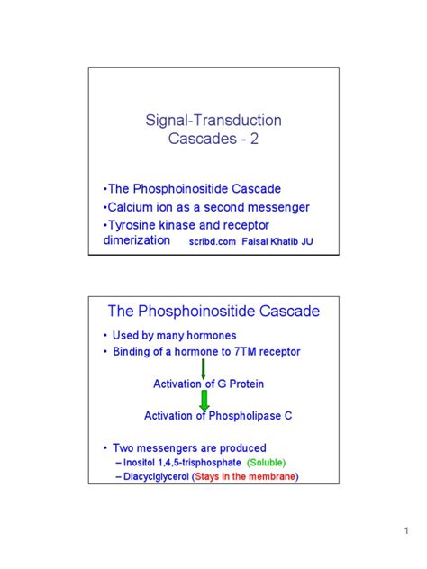 PDF Hormones Lecture 3 Handout DOKUMEN TIPS