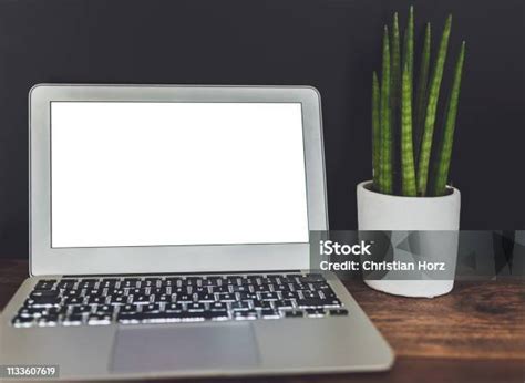 빈 흰색 디스플레이가 있는 랩톱 컴퓨터와 어두운 배경에 대 한 나무 책상에 화분에 심는 식물 0명에 대한 스톡 사진 및 기타 이미지 Istock