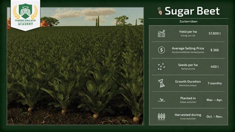 Farming Simulator 22 How To Sow And Harvest Sugar Beet Fs22 Mod