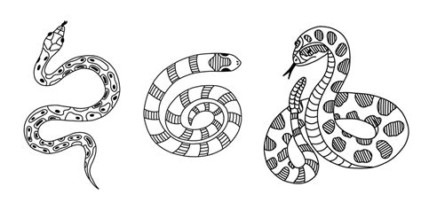Premium Vector Set Of Different Snakes With Hand Drawn Outline Vector