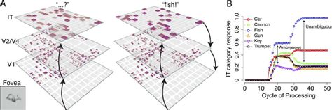 Demonstration Of Recurrent Processing During Degraded Object Download Scientific Diagram