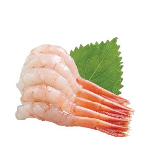 Amaebi Sashimi Sweet Shrimp Genki Sushi Singapore