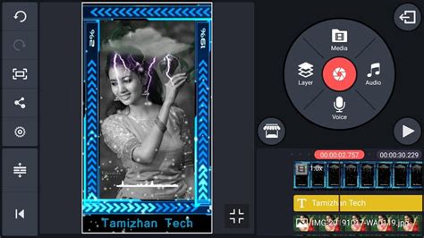 Kinemaster Pro Green Screen Plmsociety