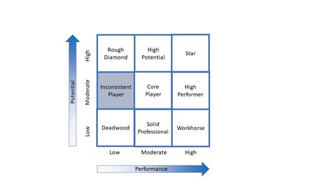 When Performance Meets Potential The Nine Box Matrix The Maximum Standard