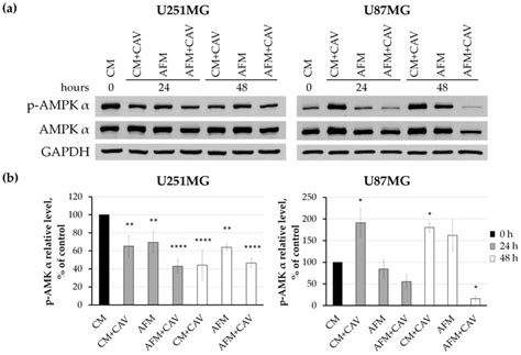 Analysis Of The Level Of 5 Amp Activated Protein Kinase Ampk α
