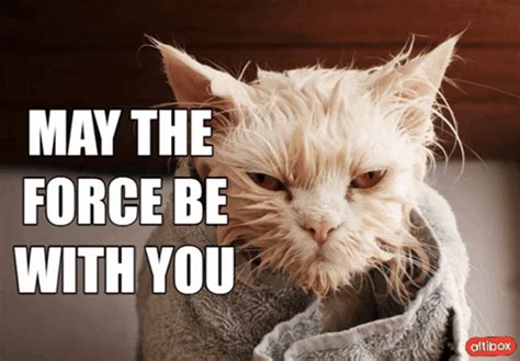 May The Force Be With You Yoda Lightsaber 