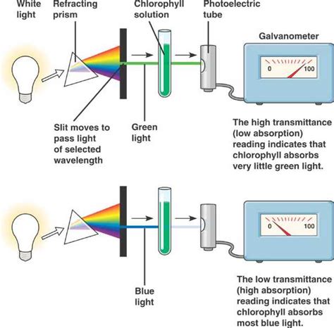 Absorption Html AbsorptionSpectrum L