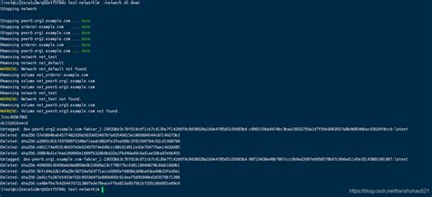 Hyperledger Fabric 20（一）环境搭建以及测试网络部署hyperledger Fabric220搭建 Csdn博客