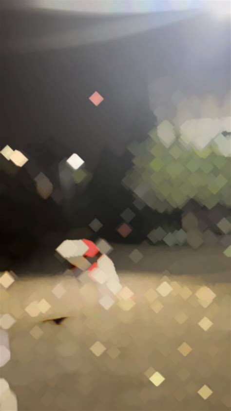 Banna 🦅 🌍 Officialshivamthakur • Instagram Photos And Videos