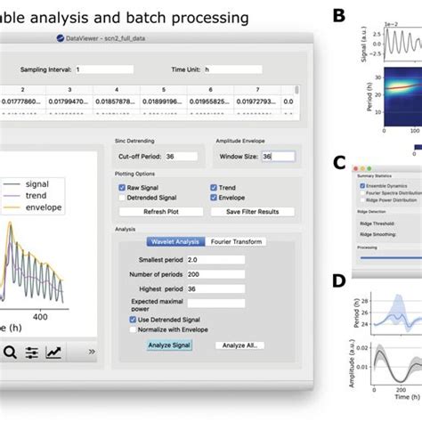 Data Import And Parameter Setup For The Analytic Wavelet Transform A