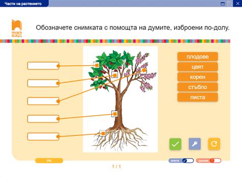 Какво е интерактивен електронен учебник Просвета E Prosveta