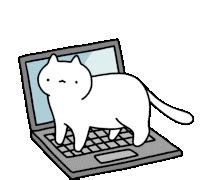 Computer Cats S Tenor
